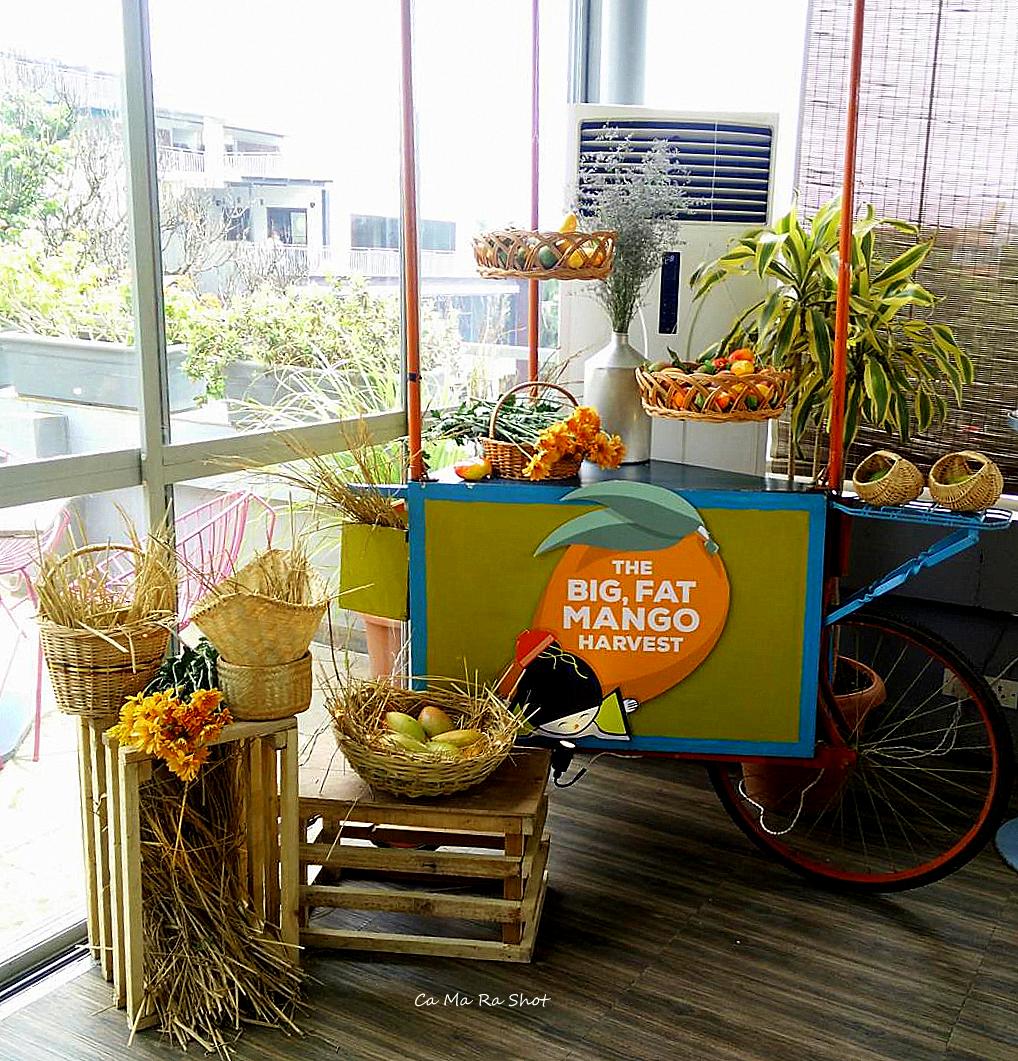 The Fatty Bao – Big Fat Mango Harvest | Currylines – Caroline's