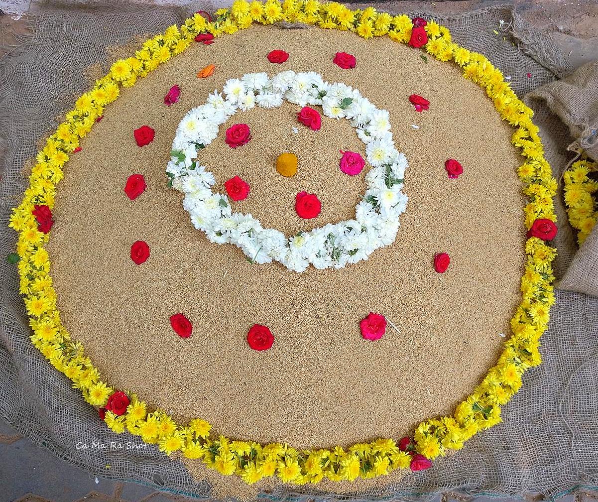 Culinary Symposium on Millets for chefs-Ramiah,NNRC | Currylines ...