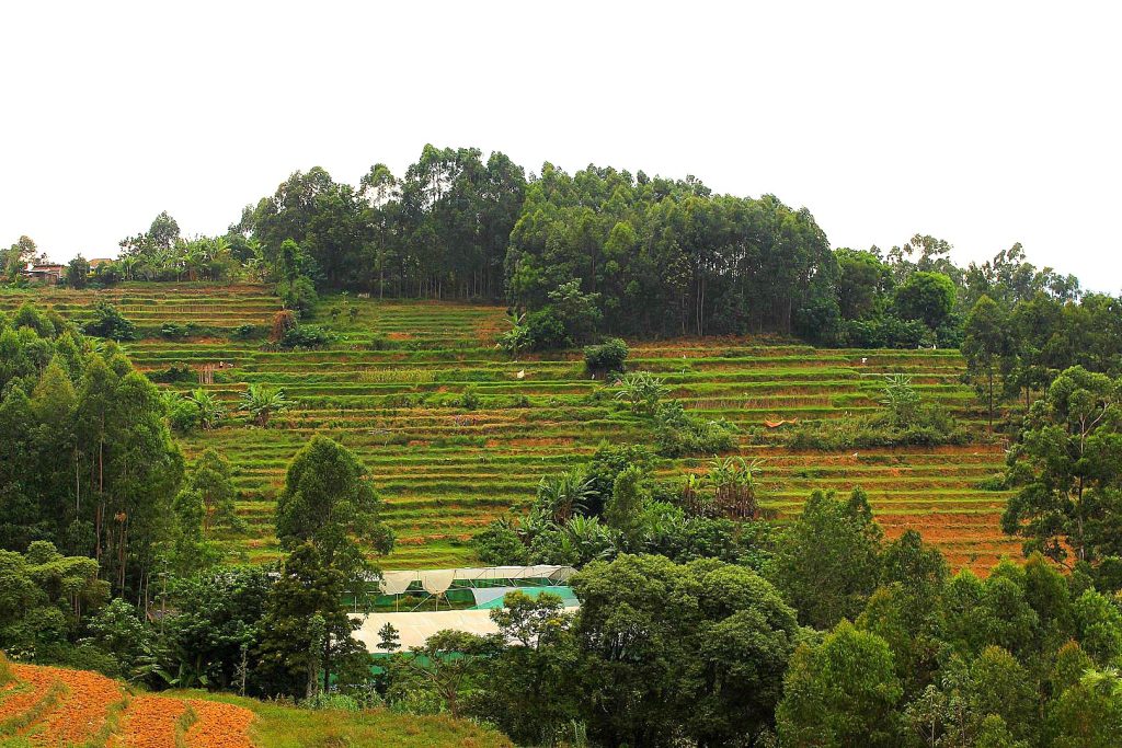 The Minister’s Mansion – Kanthalloor – Part 1 – An Overview ...