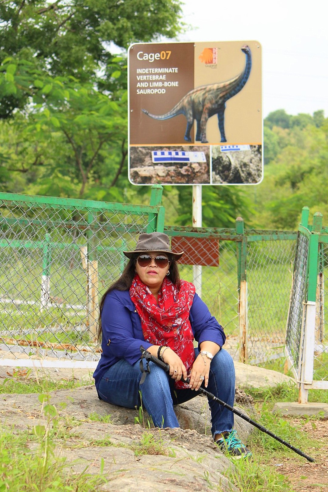 Dinosaur Park and Museum – Raiyoli, Balasinor, Gujarat | Currylines ...