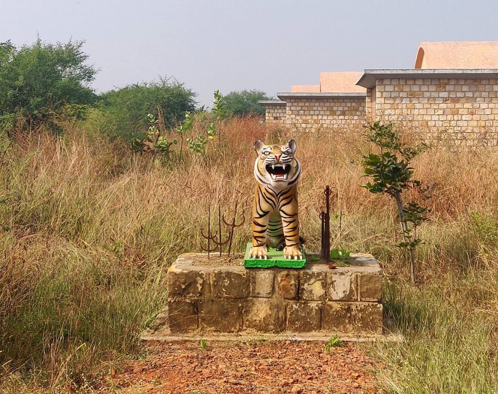 Waghoba Eco Lodge – Overview | Currylines – Caroline's