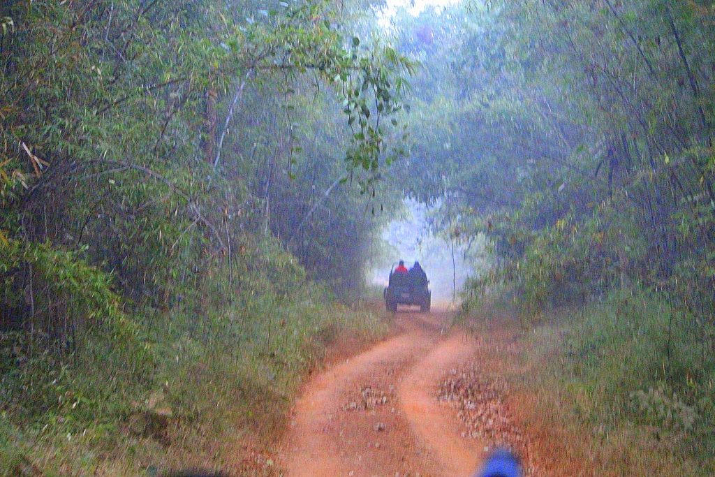 Waghoba Eco Lodge – Experiences | Currylines – Caroline's
