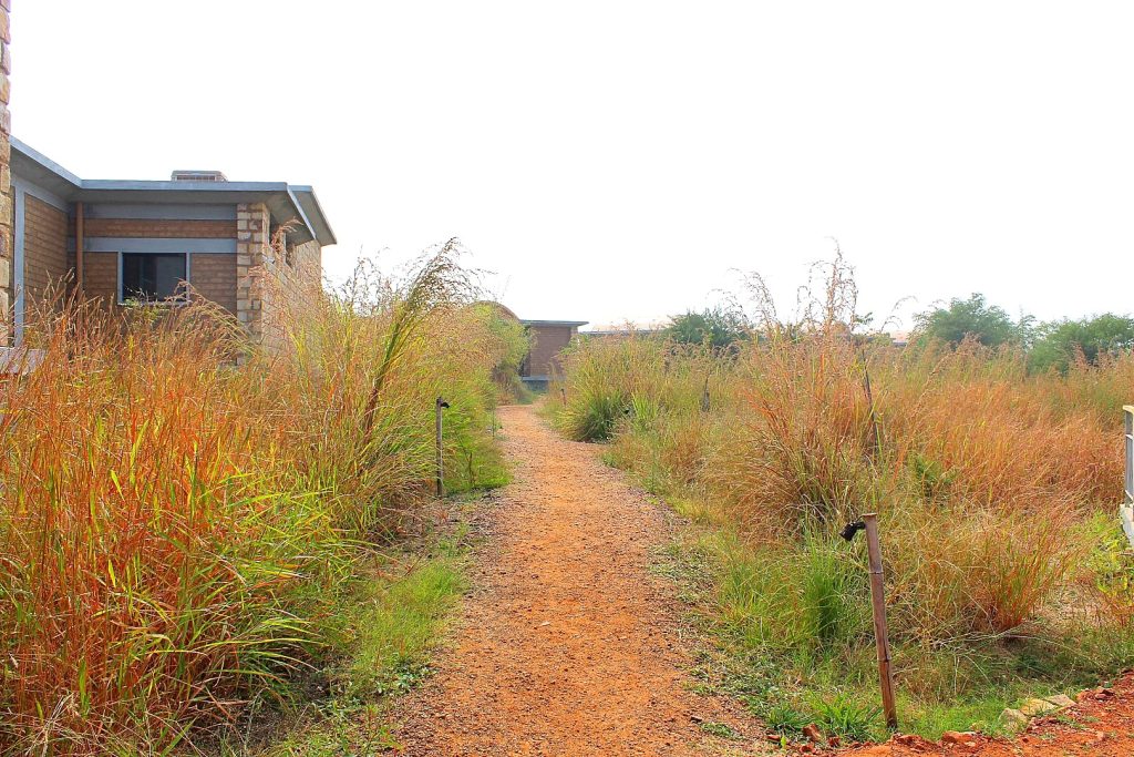Waghoba Eco Lodge – Overview | Currylines – Caroline's